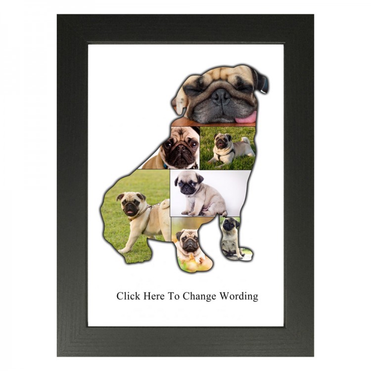 Pets-Photo-Collage-Maker